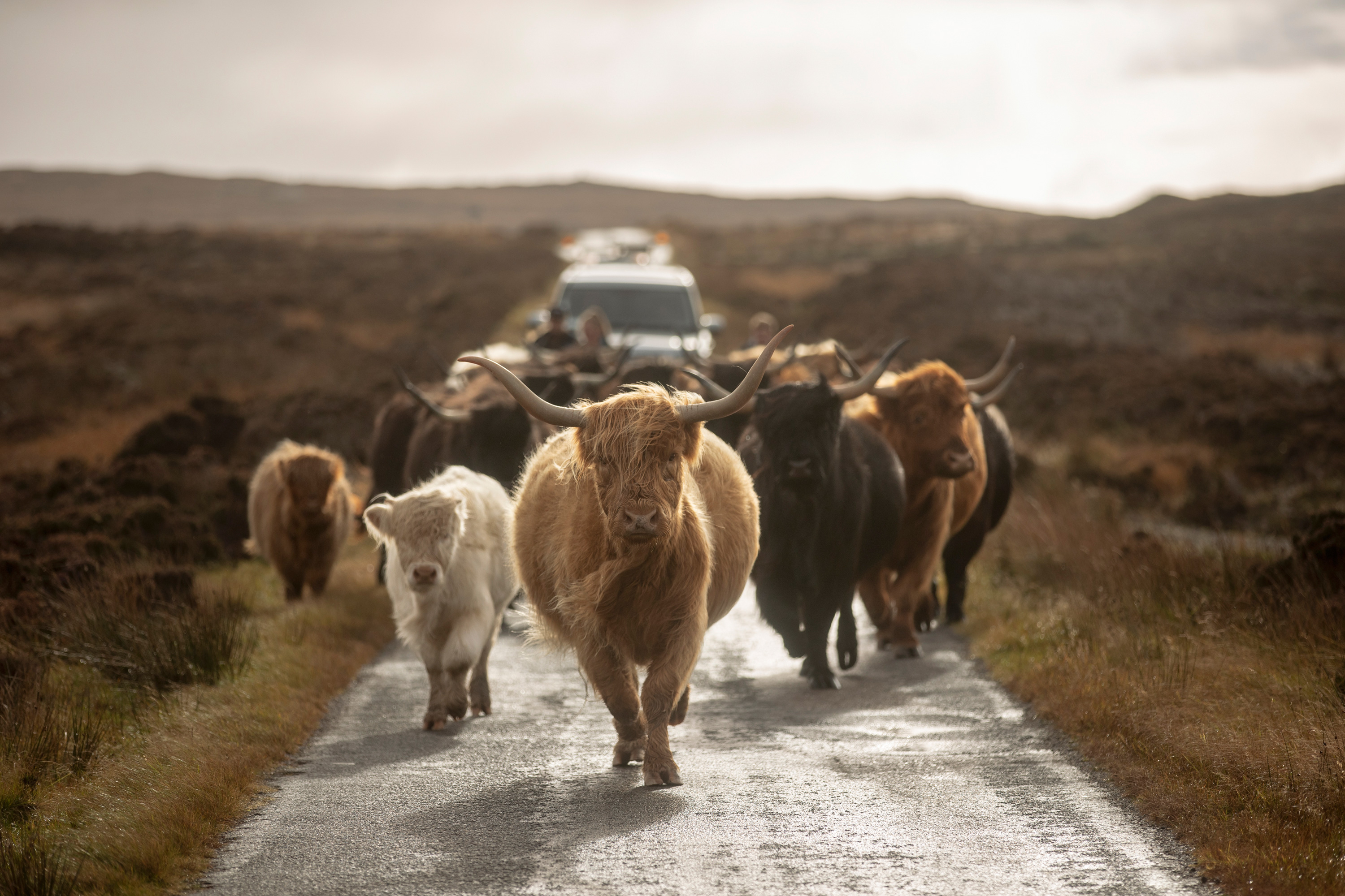 Hell or high water - James Glossop