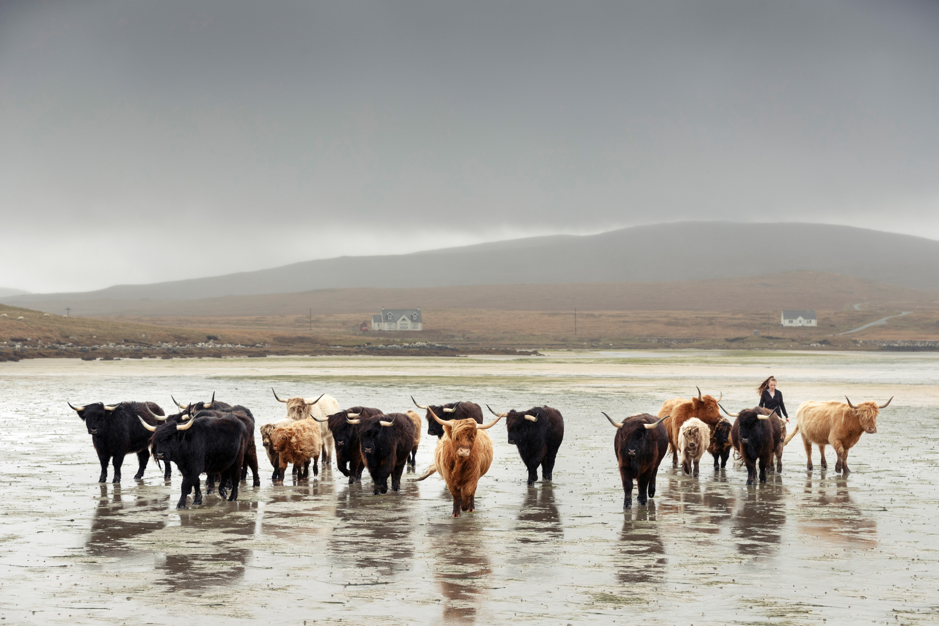 Hell or high water - James Glossop