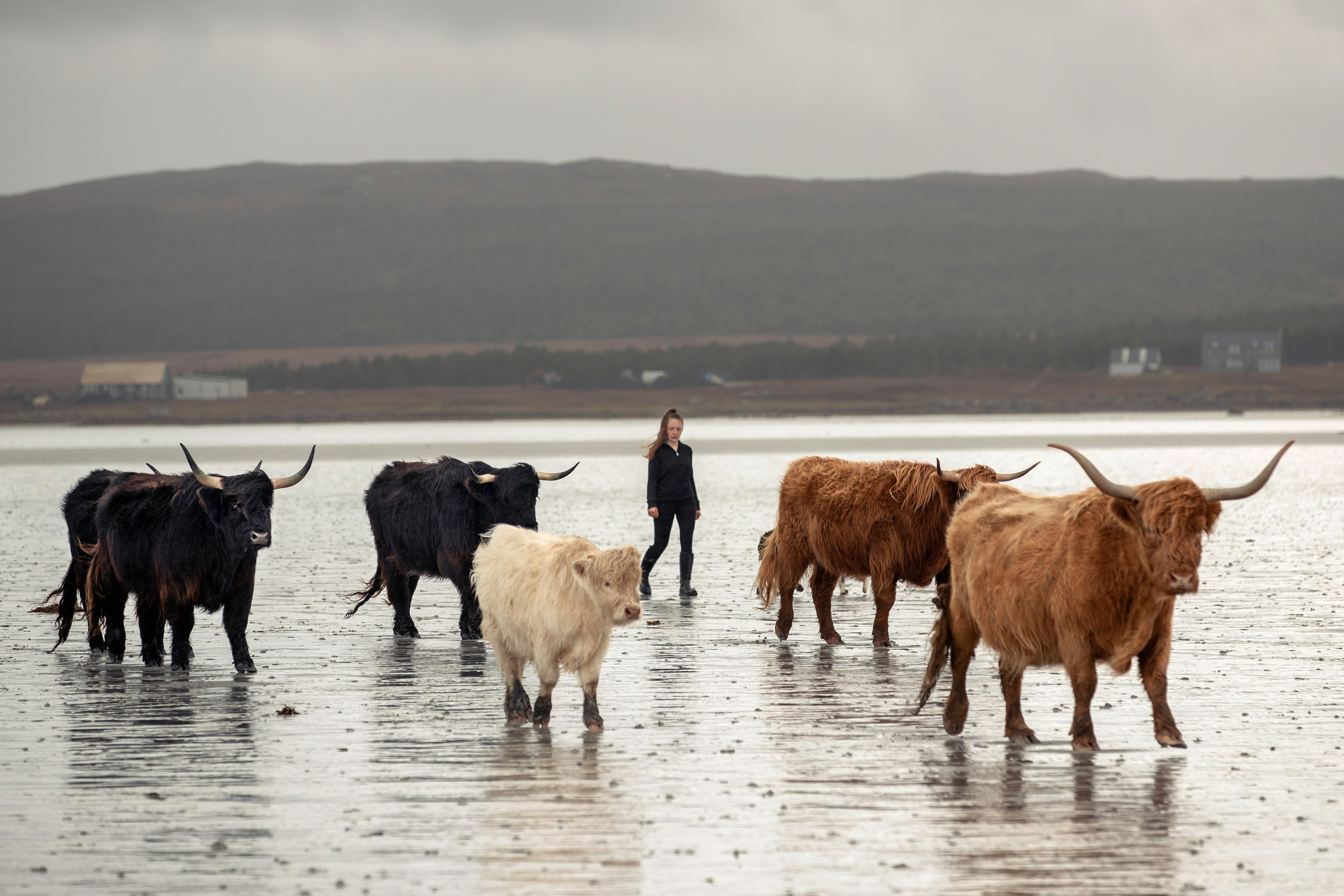 Hell or high water - James Glossop