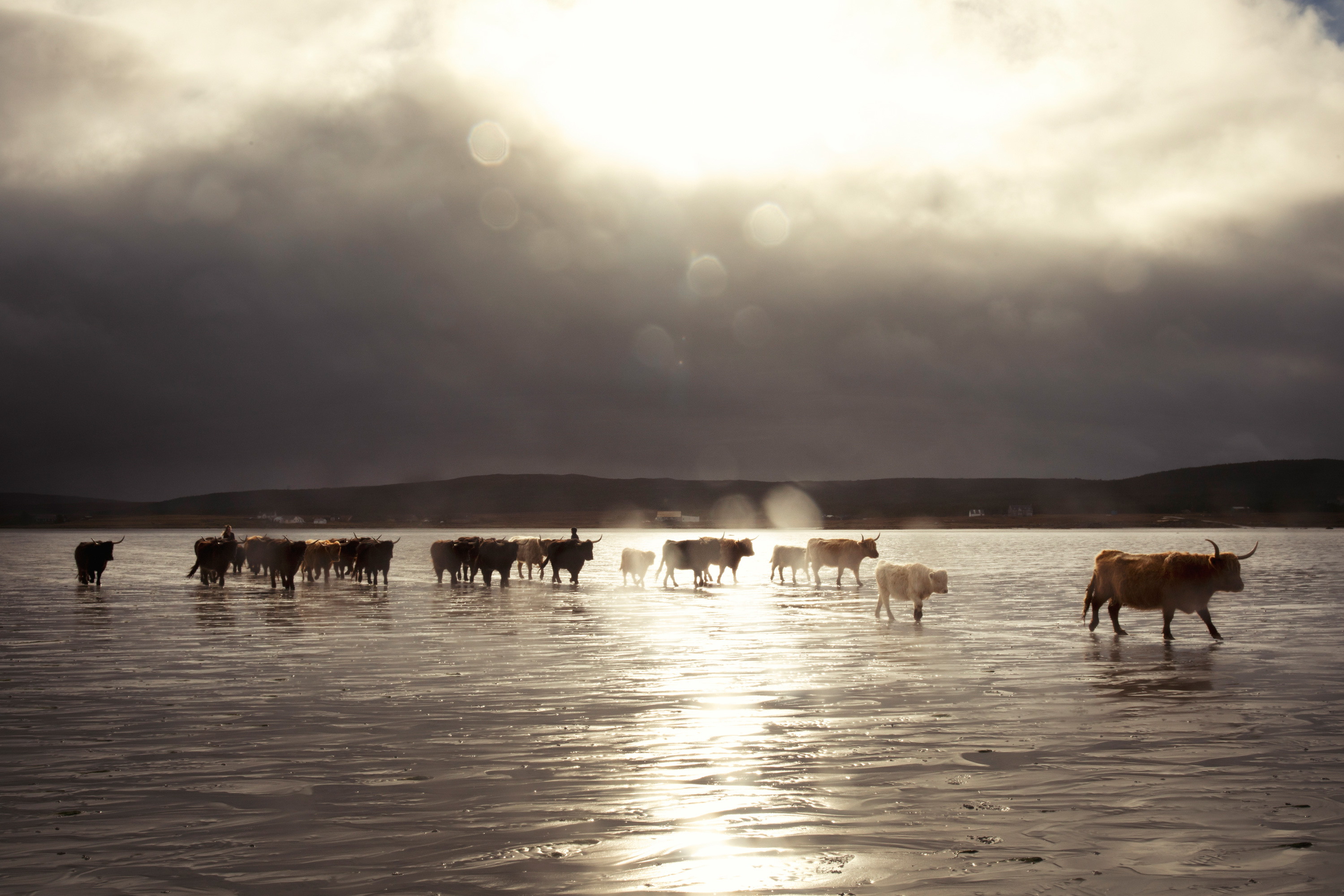 Hell or high water - James Glossop