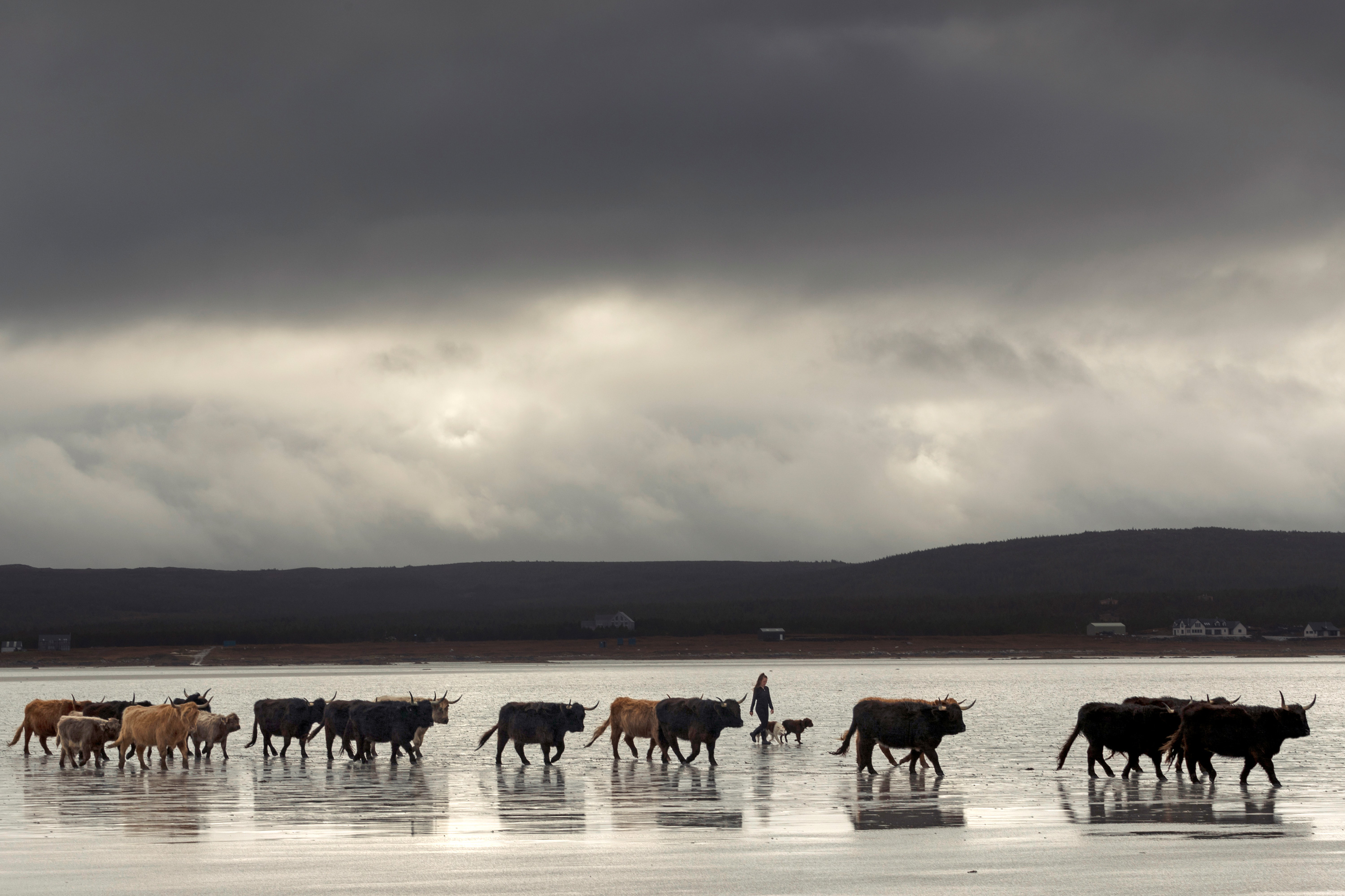 Hell or high water - James Glossop