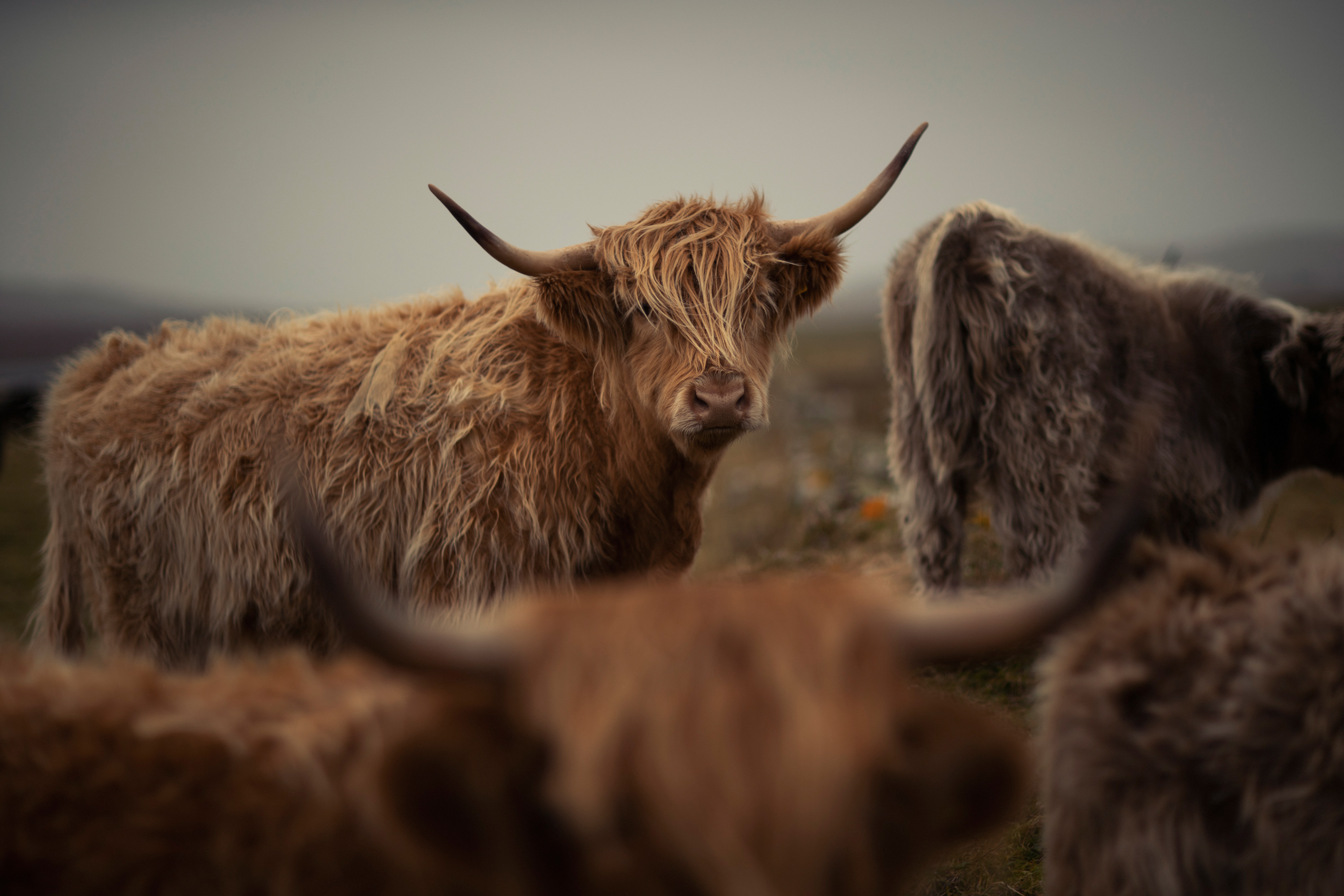 Hell or high water - James Glossop