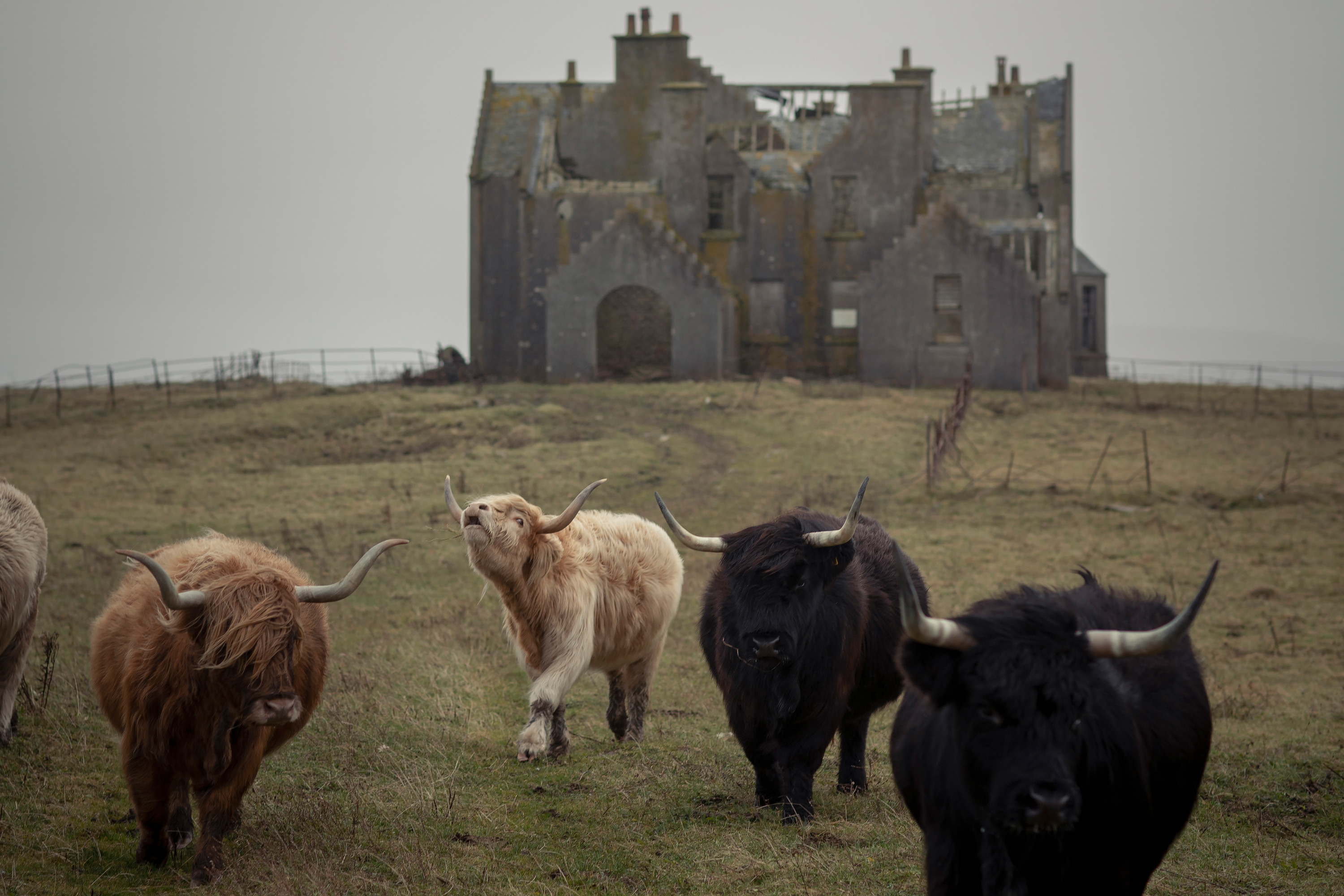 Hell or high water - James Glossop