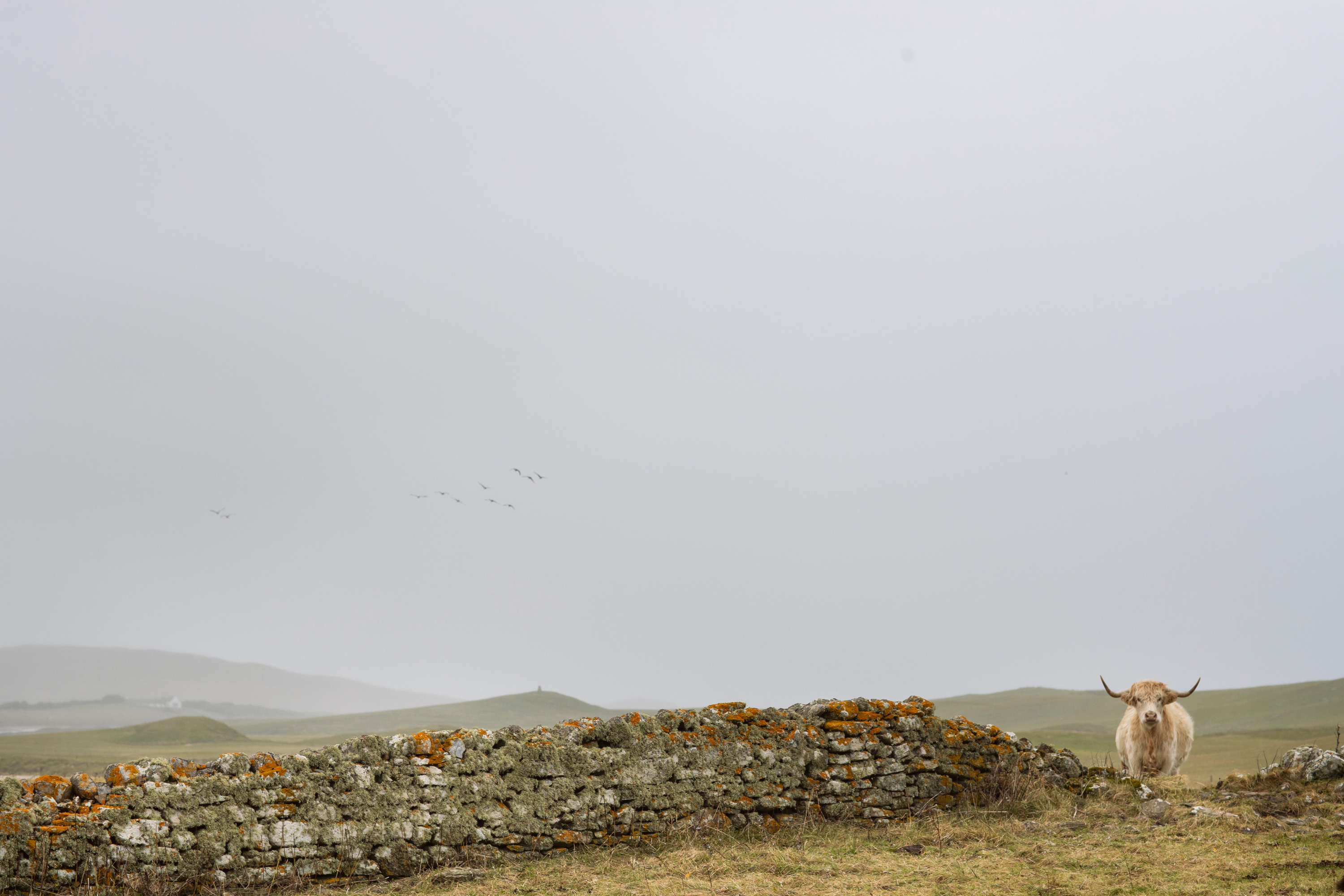 Hell or high water - James Glossop