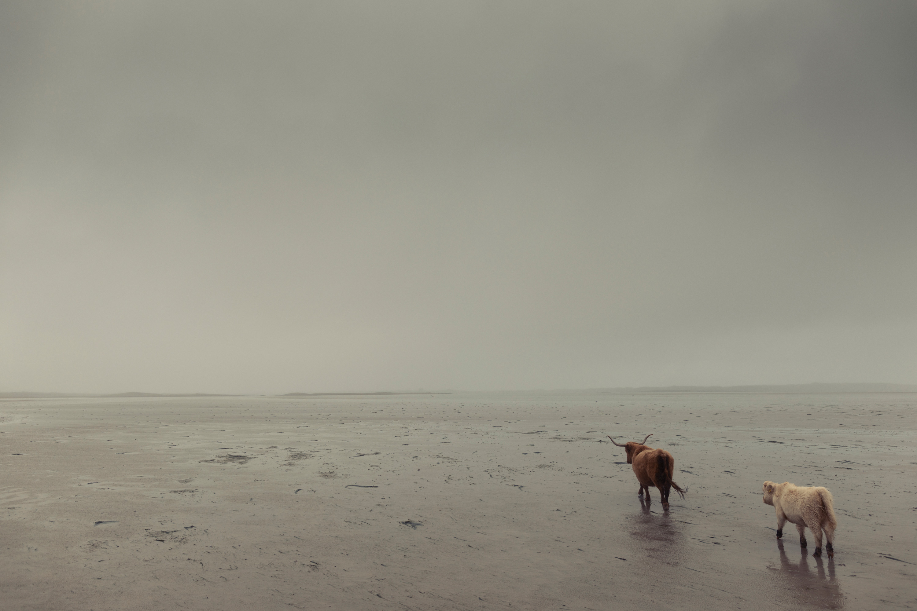 Hell or high water - James Glossop